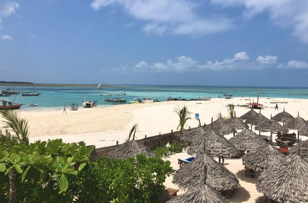 PALUMBO WAVES | EXIM TOURS